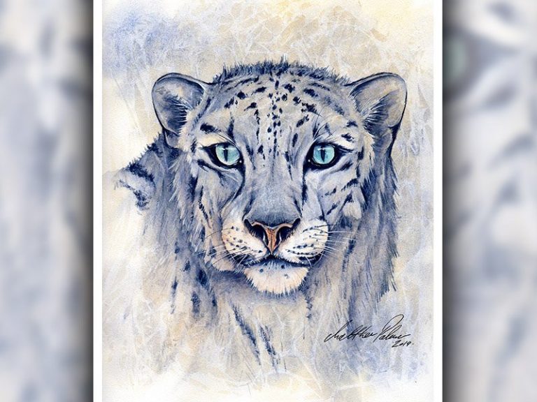 Snow leopard - Watercolour TV